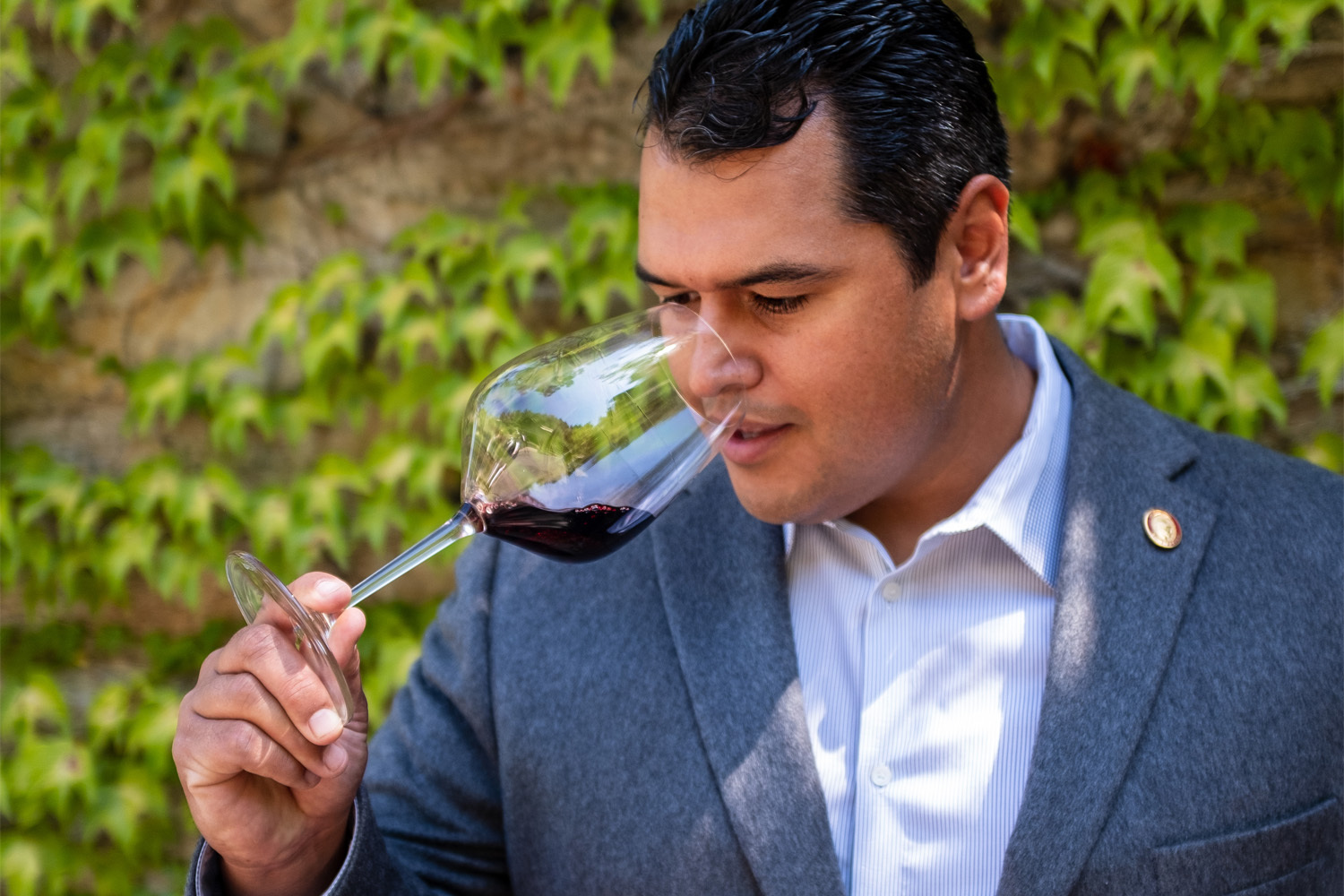 Wine Access - Highly Coveted Wines, Expertly Curated.