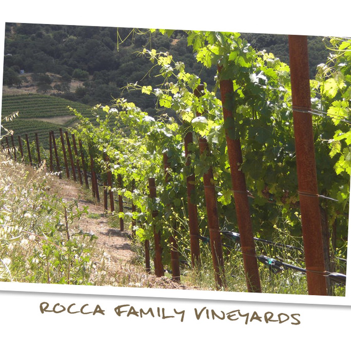 2013 Rocca Family Vineyards Vespera Proprietary Red Napa Valley