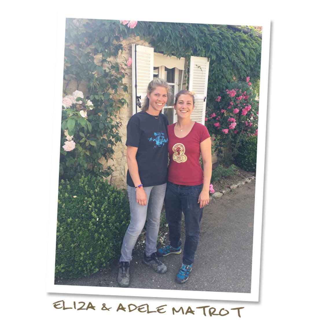 2014 Domaine Matrot Bourgogne Chardonnay